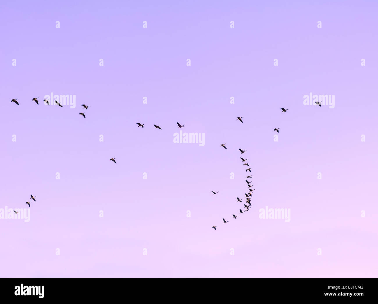 Portrait united states air Cut Out Stock Images & Pictures - Alamy