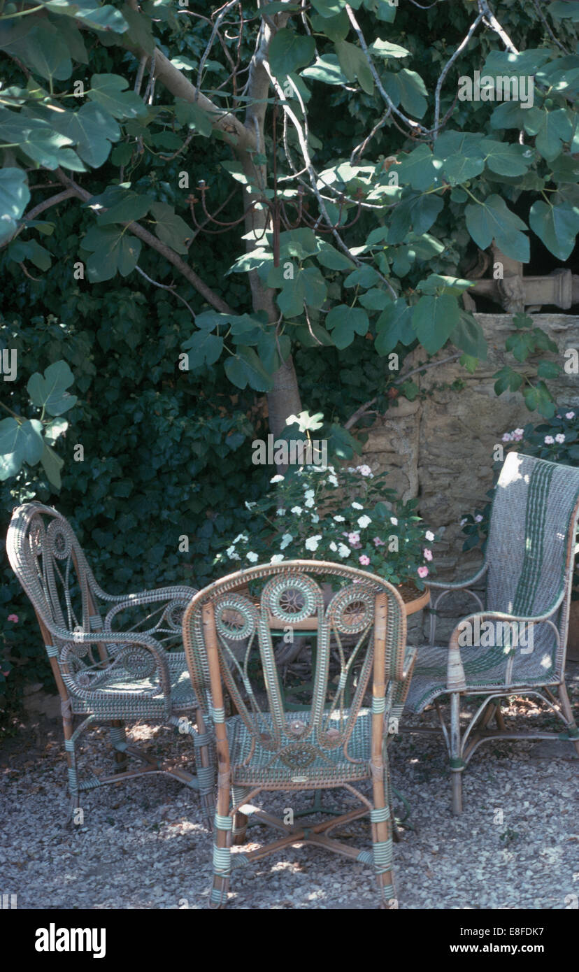 Old cane and rattan chairs on shady gravel patio below trees Stock ...