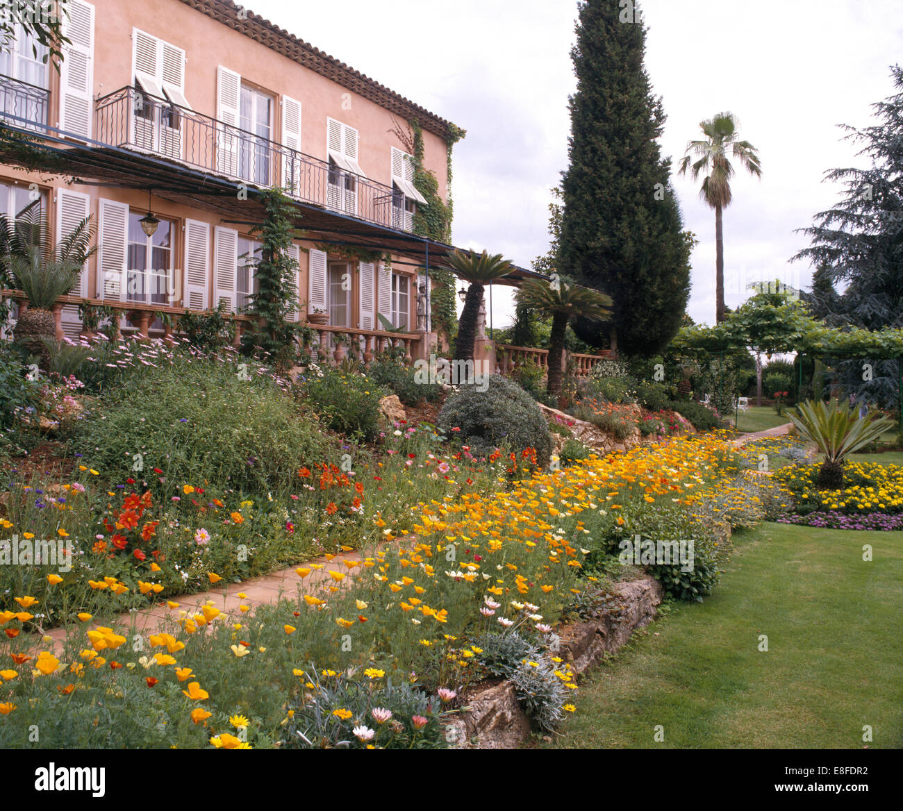 Large pink French villa with terraced garden with lawns and annual ...