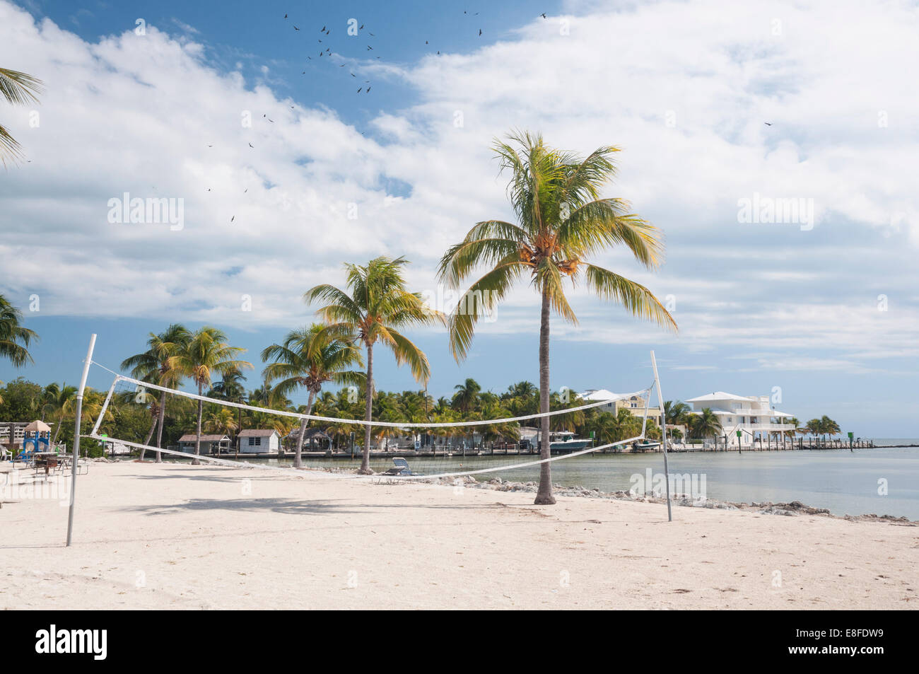 Tropical beach on Florida Keys, USA Stock Photo - Alamy
