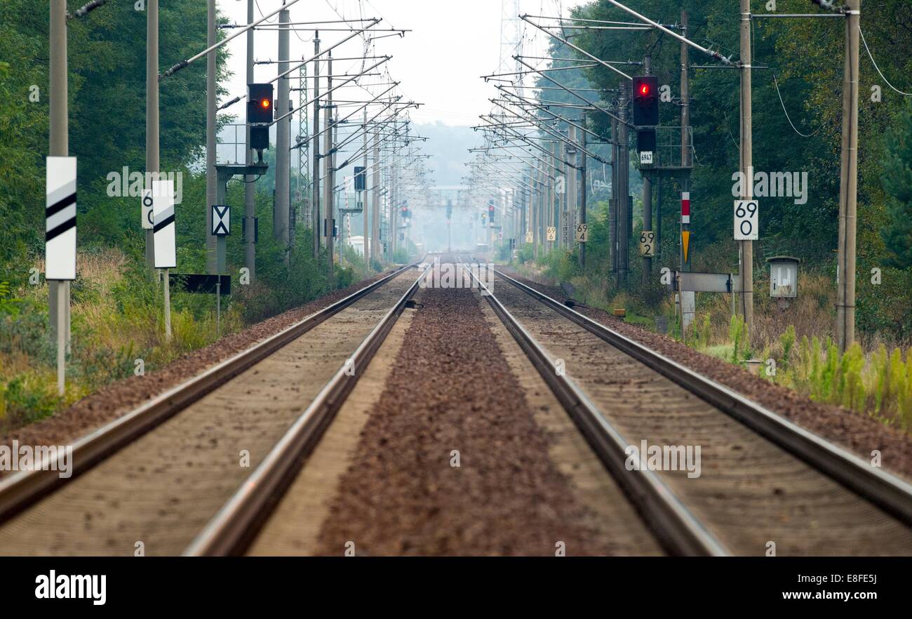 Brandenburg, Germany. 7th October, 2014. A red traffic signal is ...