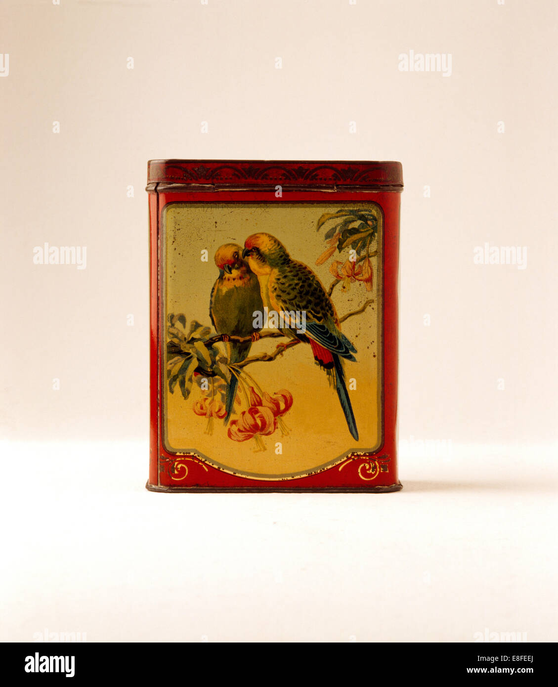 Close-up of parrot-decorated thirties tin Stock Photo - Alamy