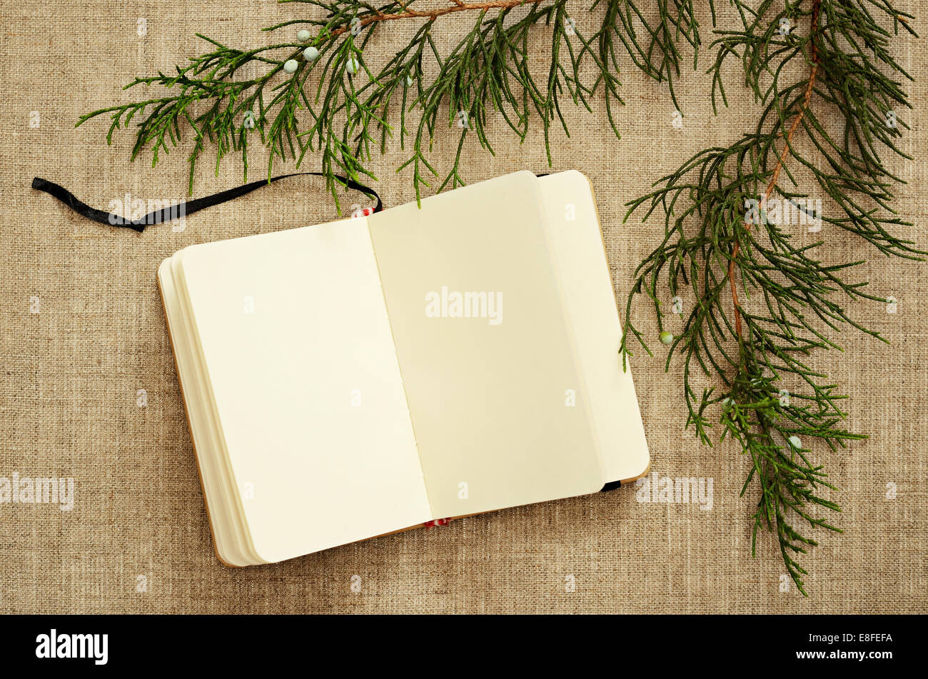 Notebook and juniper branches on canvas background Stock Photo - Alamy
