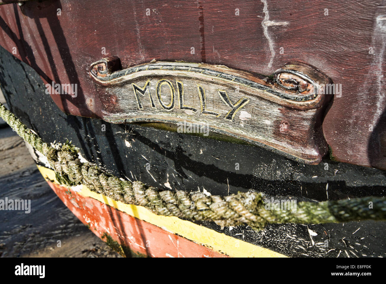 Molly name hi-res stock photography and images - Alamy