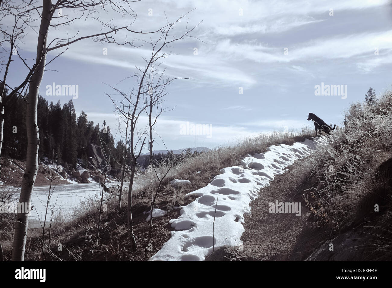 Dog on the rampart hi-res stock photography and images - Alamy