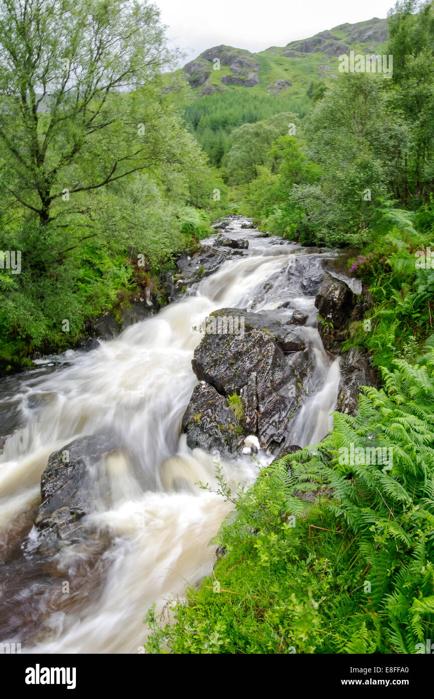 Scottish Stream Stock Photo: 74100040 - Alamy