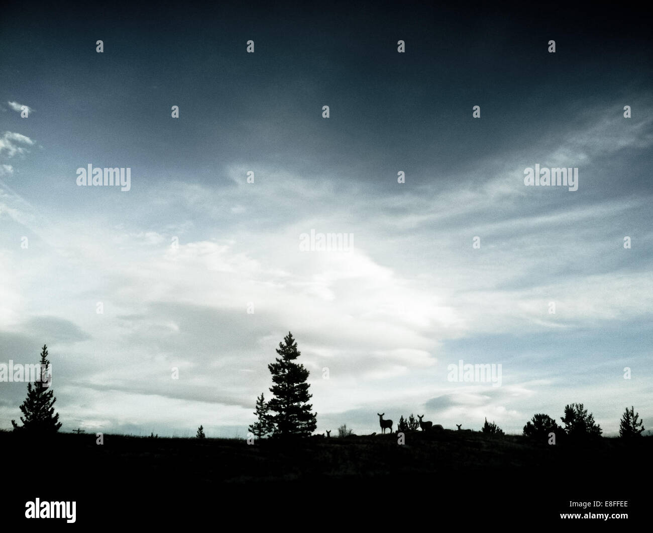 Shadowy hi-res stock photography and images - Alamy