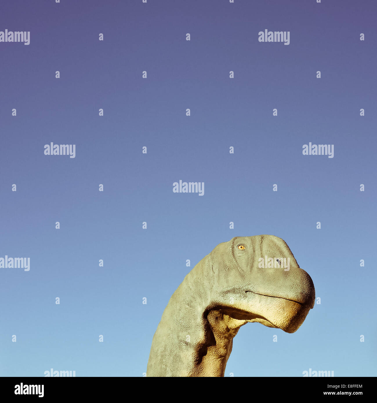 Dinosaur head hi-res stock photography and images - Alamy