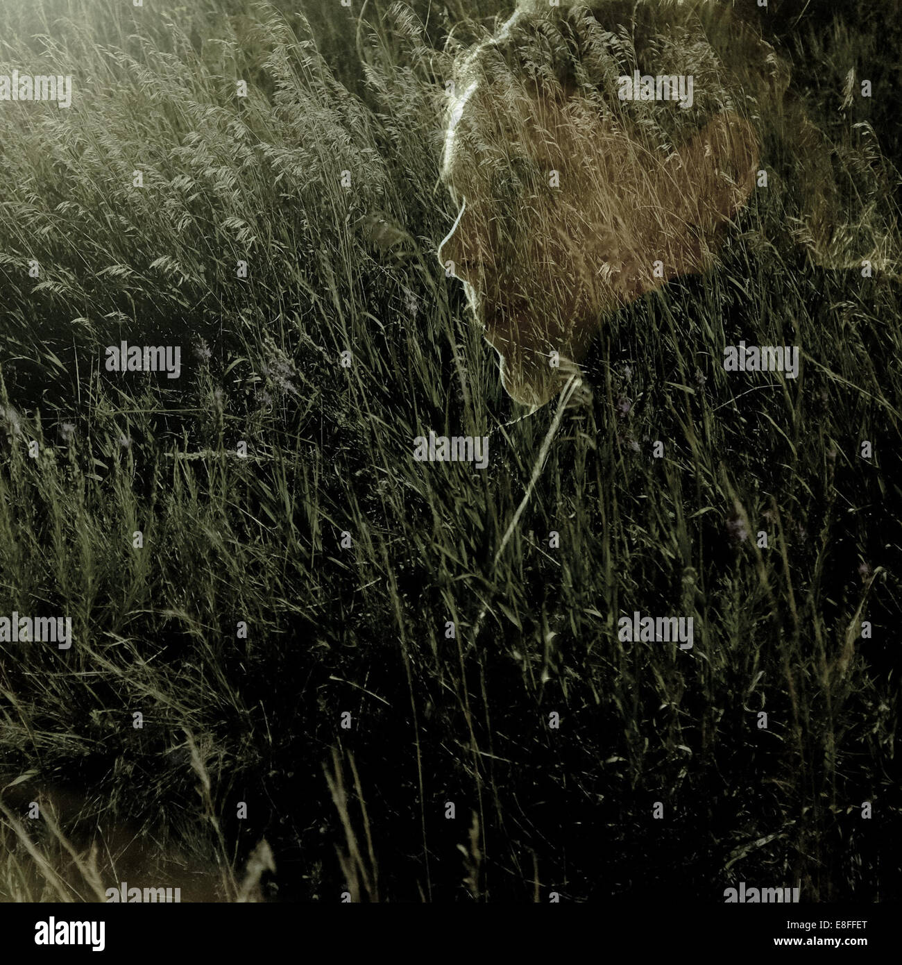 Woman's face over grass background Stock Photo - Alamy