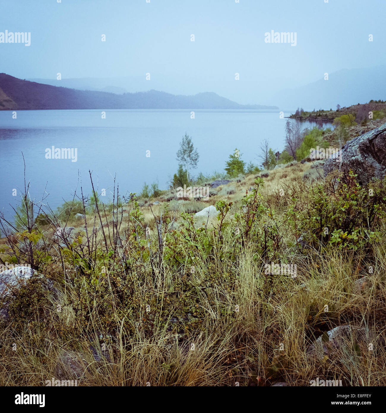 Grass by river Stock Photo - Alamy