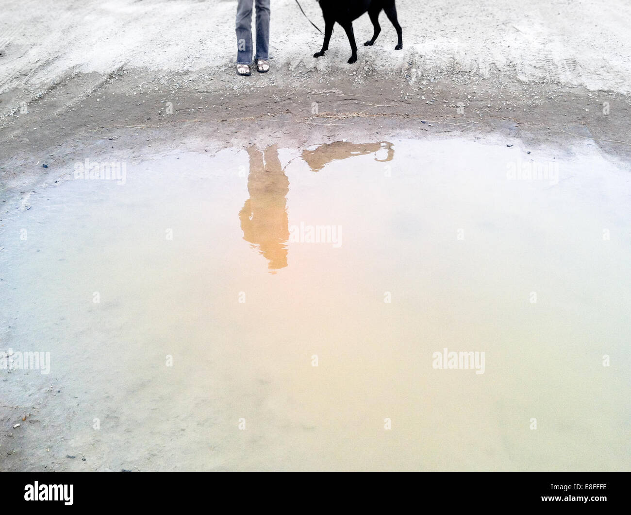 Reflection in puddle hi-res stock photography and images - Alamy