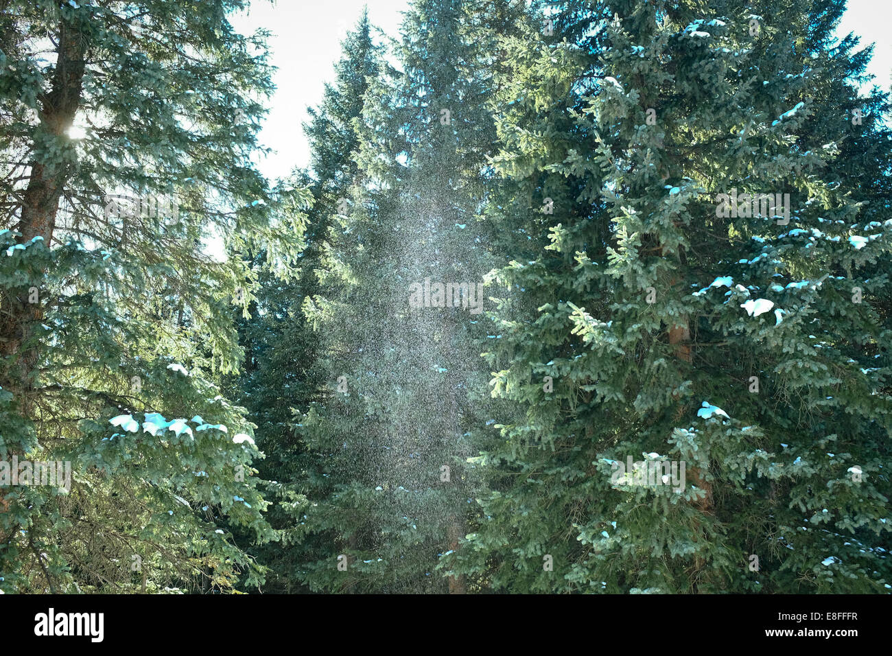 Sprinkle in hi-res stock photography and images - Alamy