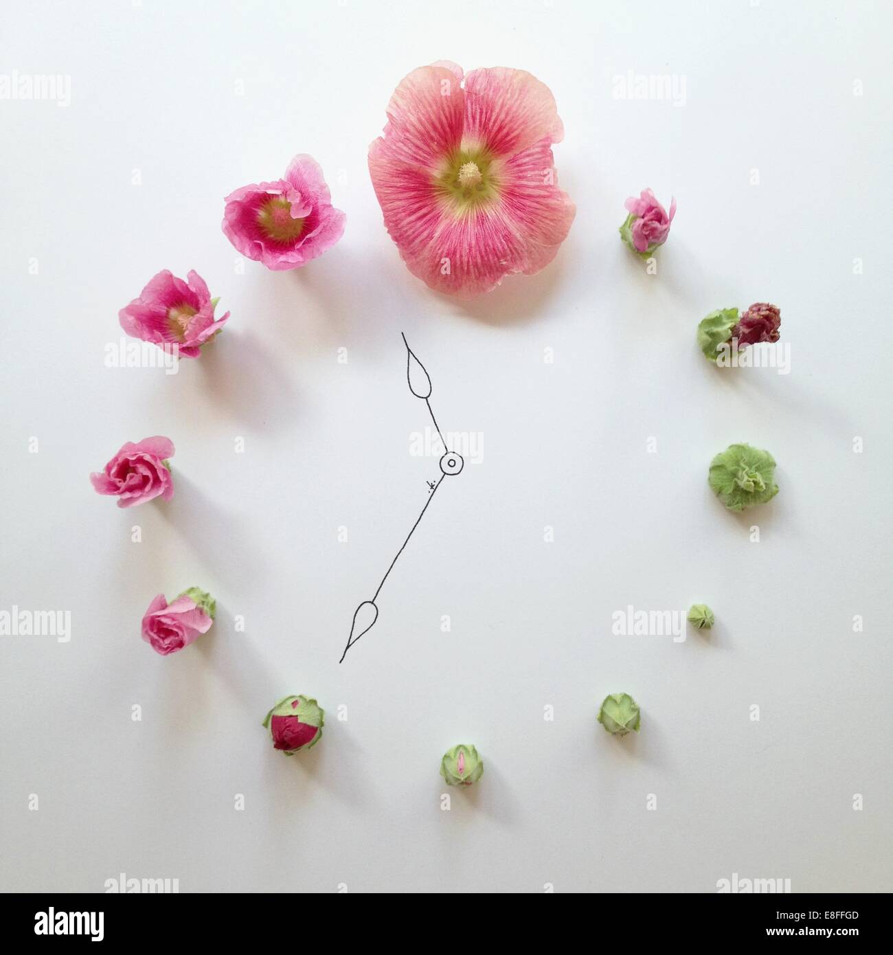 Clock face character hi-res stock photography and images - Alamy