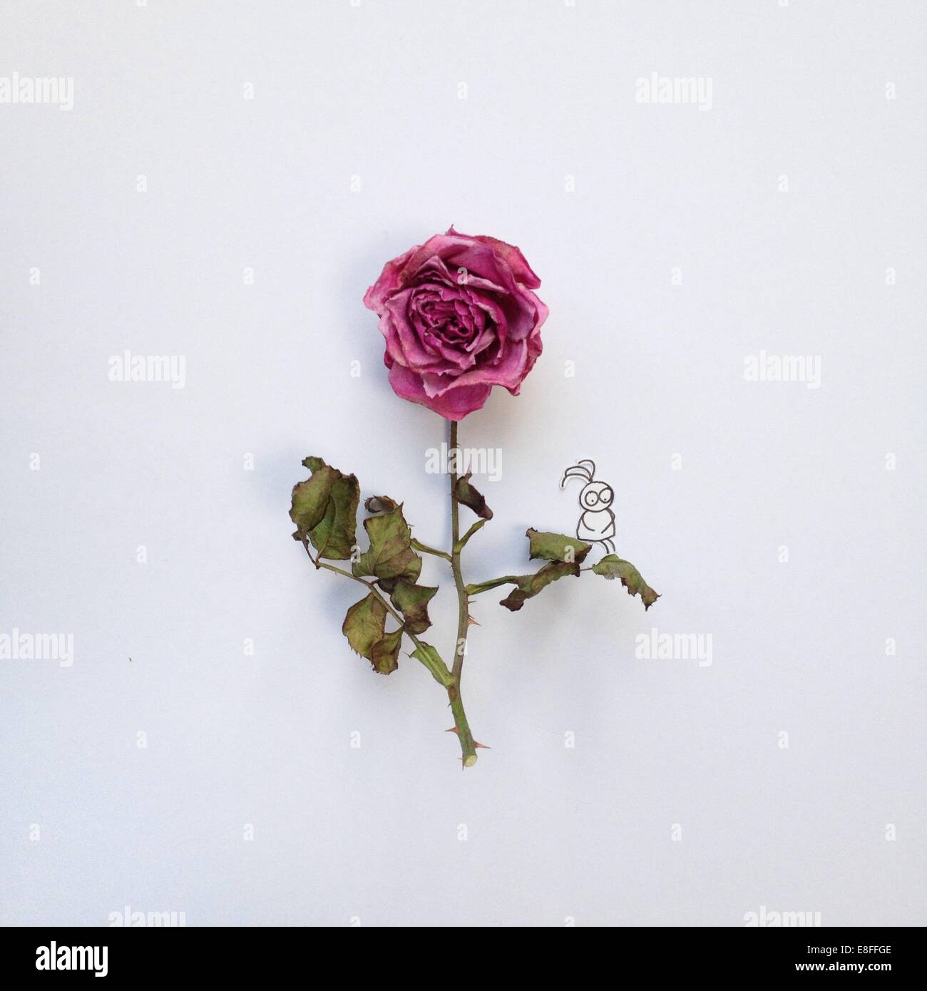 Fantasy leaf hi-res stock photography and images - Alamy