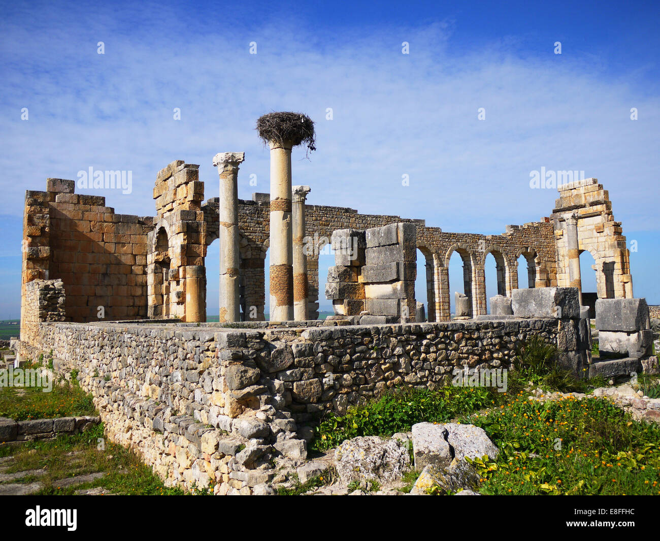 Old ruins at Volubilis near Meknes, Morocco Stock Photo - Alamy