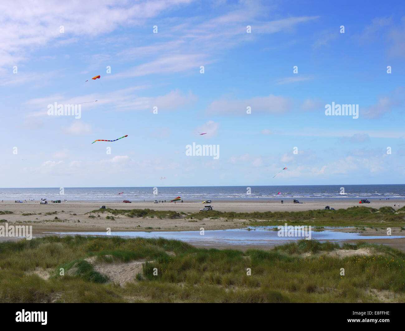 Kites on Rindby Beach, Fanoe, Denmark Stock Photo - Alamy