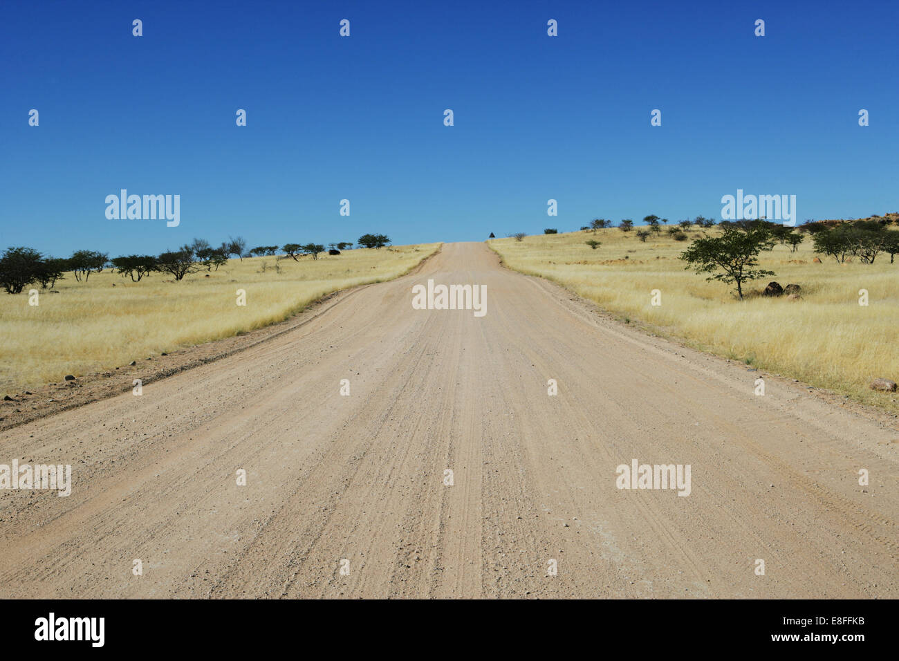 Empty road through desert, Namibia Stock Photo - Alamy