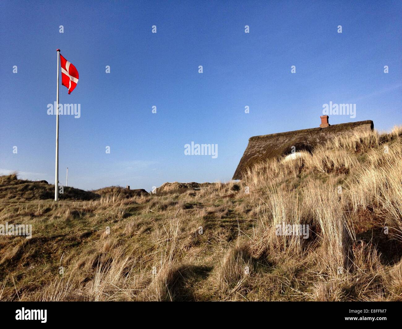 Traditional Danish summer house with thatched roof, Fanoe, Jutland ...