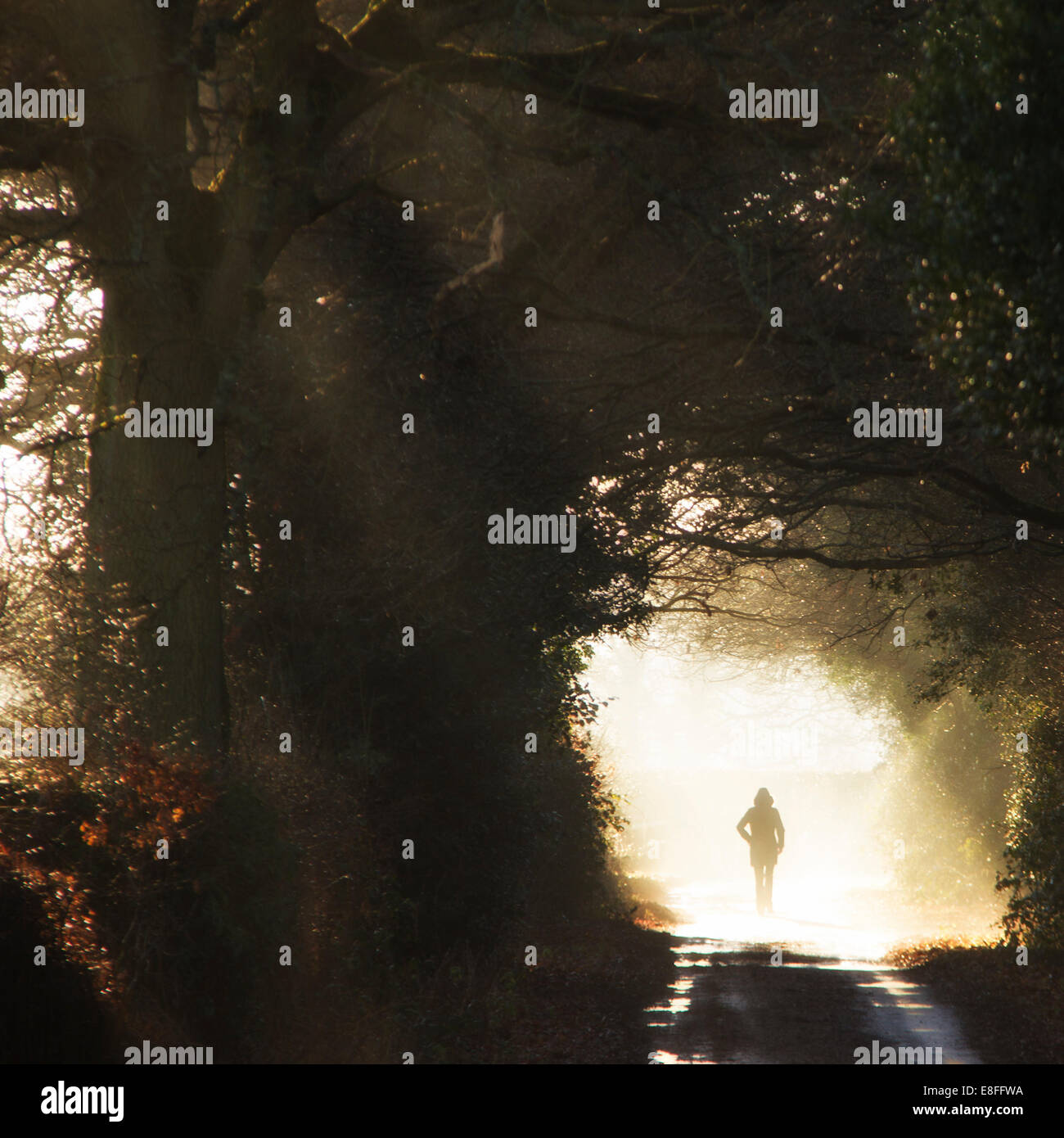 Walking into sun hi-res stock photography and images - Alamy