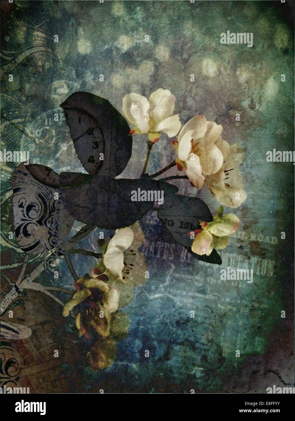 Abstract flowers hi-res stock photography and images - Alamy