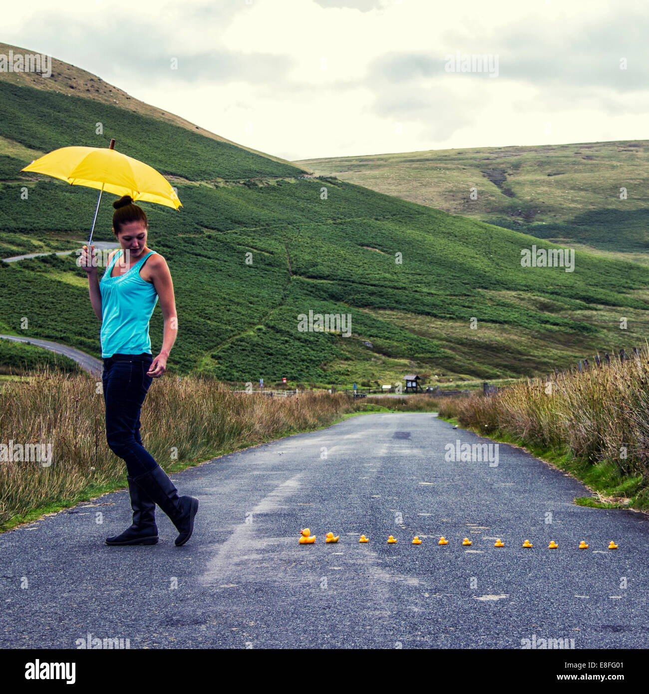 Ducks following person hi-res stock photography and images - Alamy