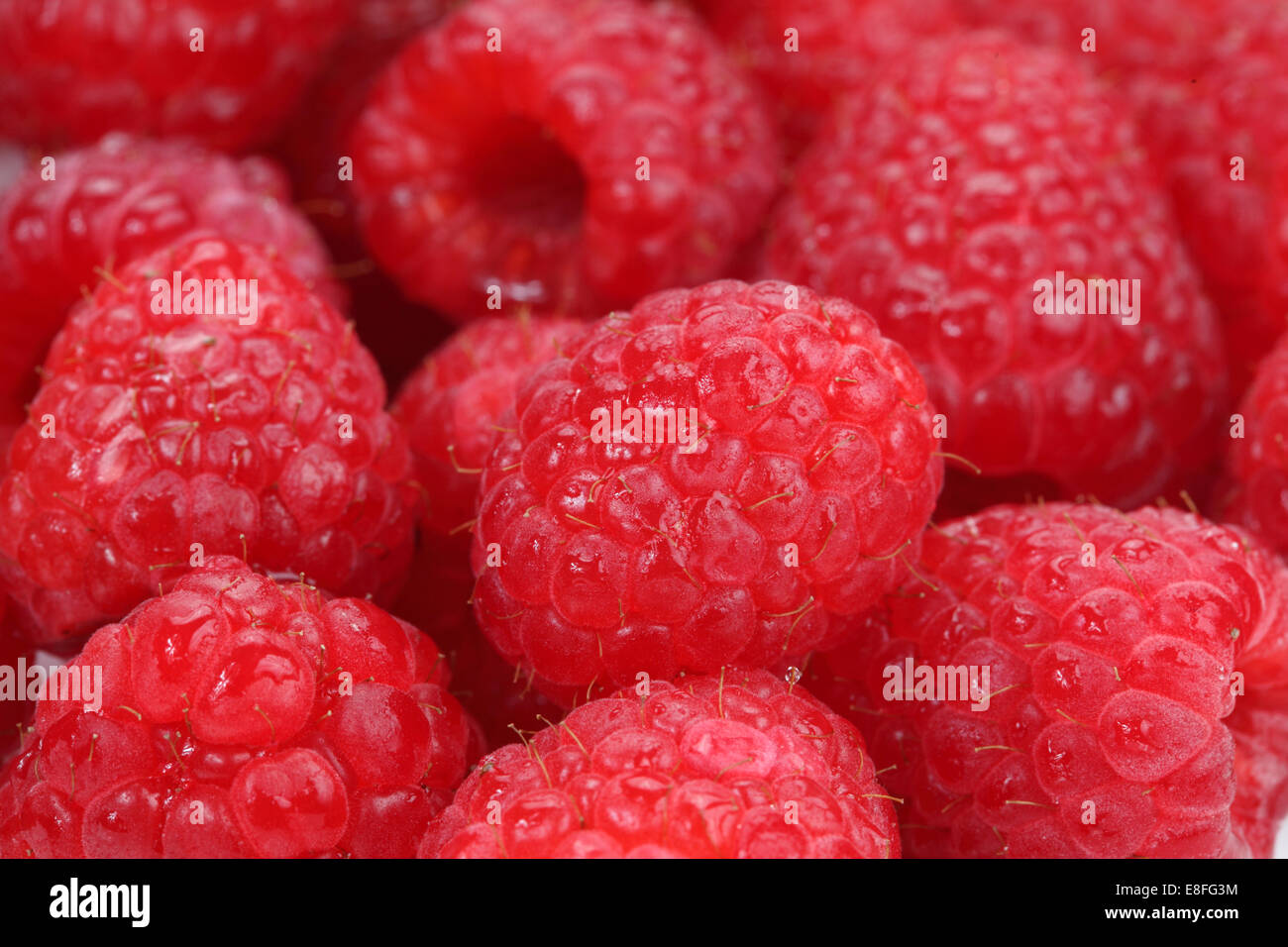 Fresh raspberry fruits hi-res stock photography and images - Alamy