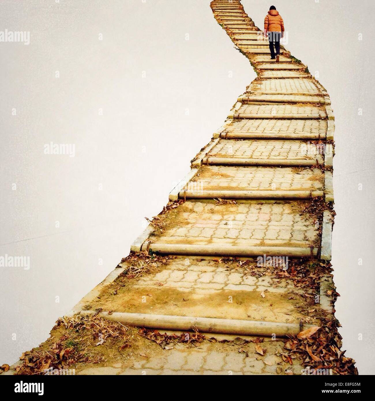 Rear view of a man walking up steps, South Korea Stock Photo - Alamy