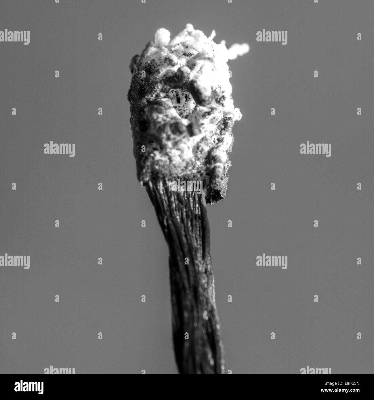Burnt match hi-res stock photography and images - Alamy