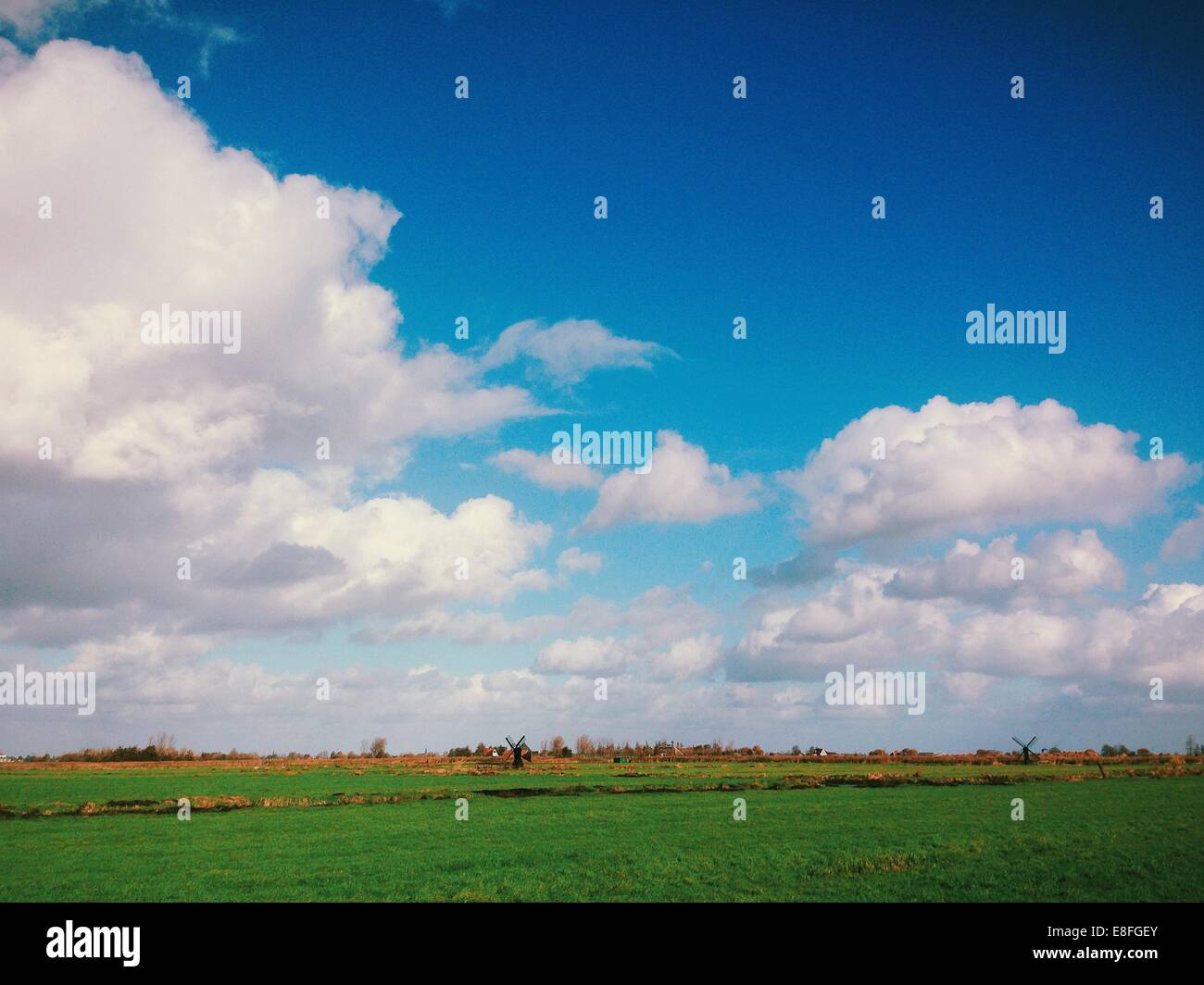 Bassi hi-res stock photography and images - Alamy