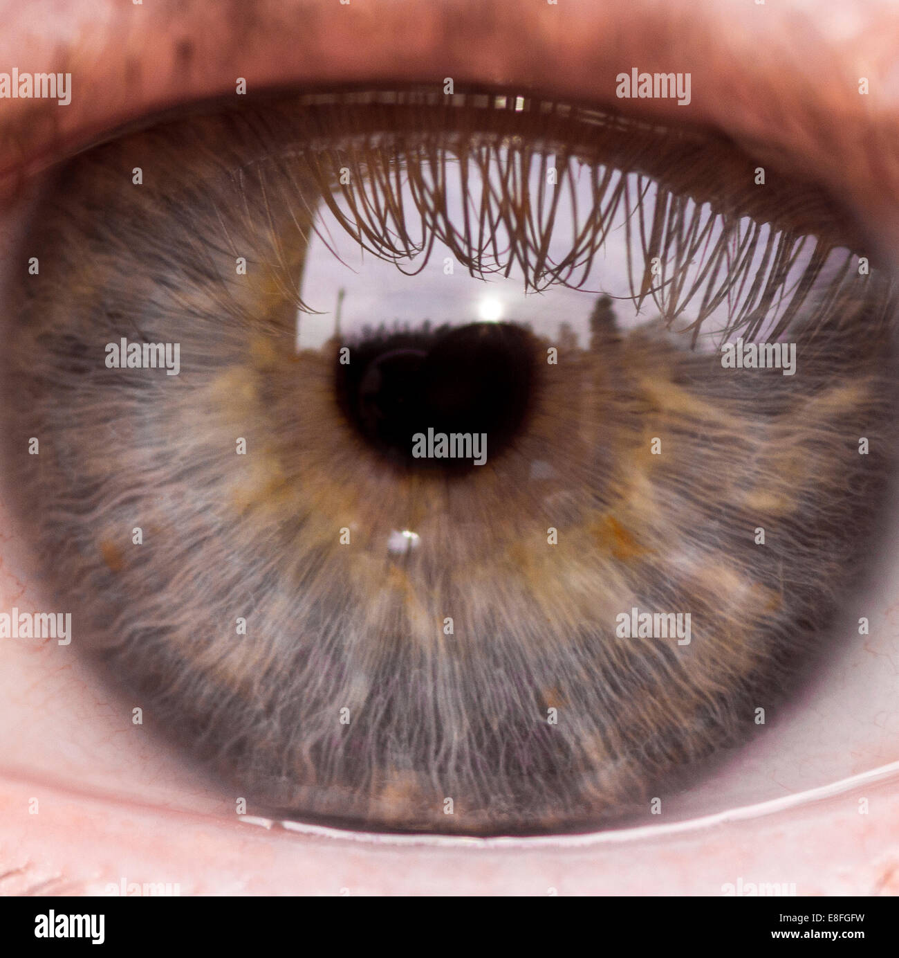 Very close up eye hi-res stock photography and images - Alamy