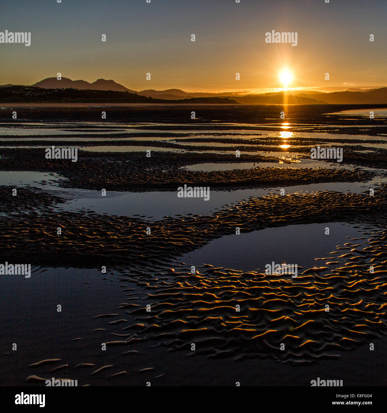 Landscape with sun reflected in puddles Stock Photo - Alamy