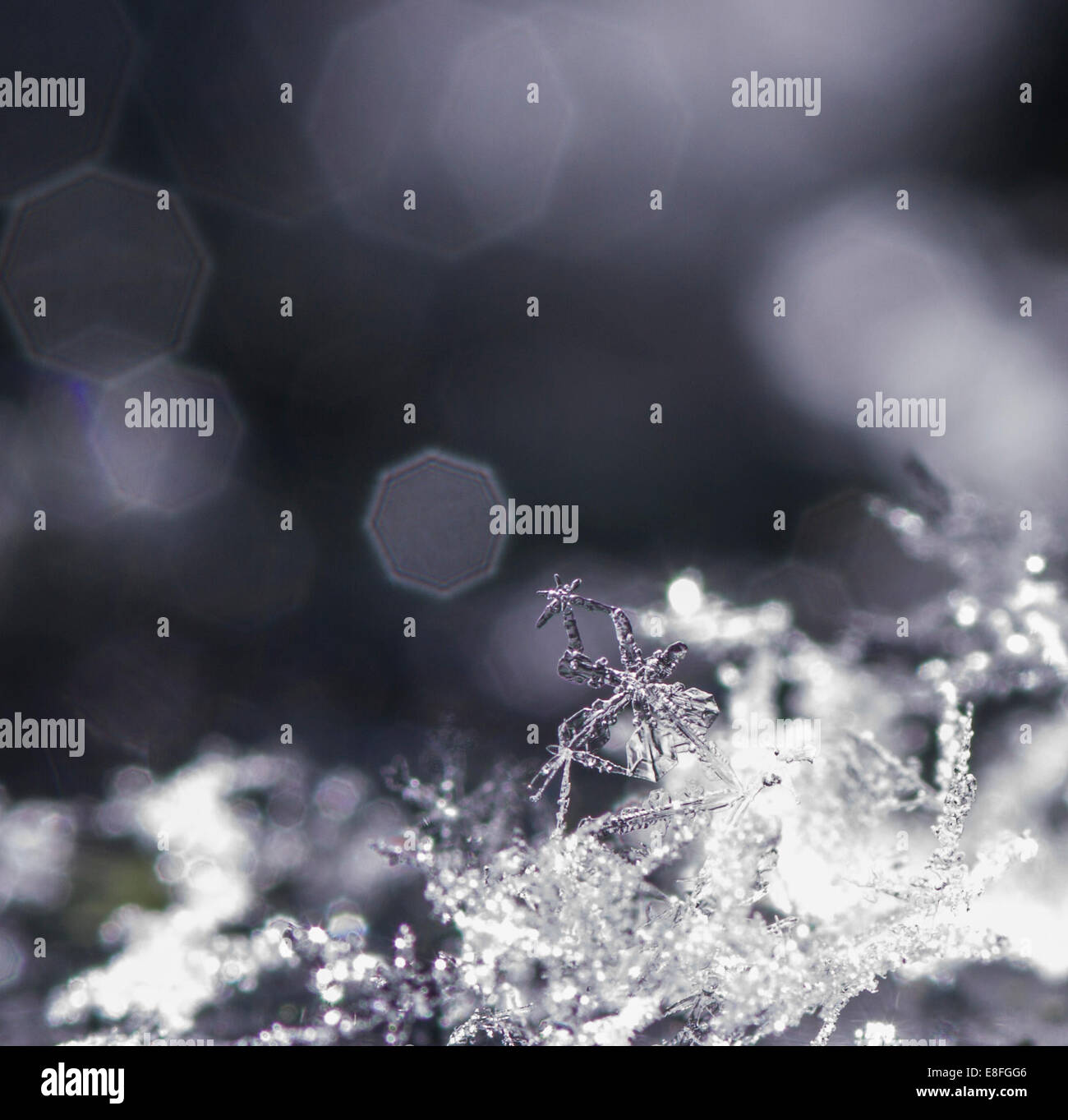 Snowflakes up close hi-res stock photography and images - Alamy