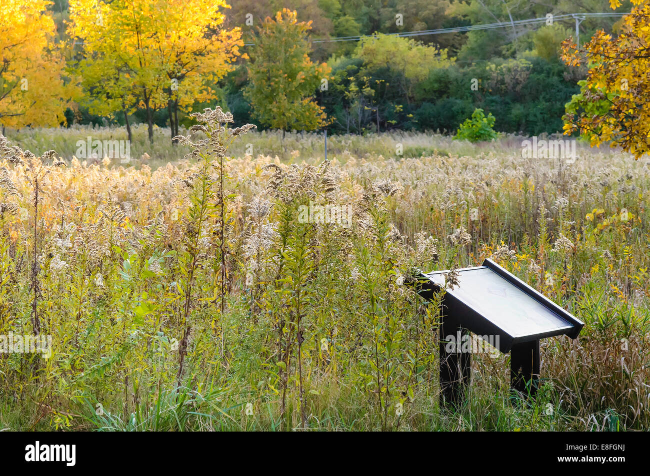 Nature viewing spot Stock Photo - Alamy