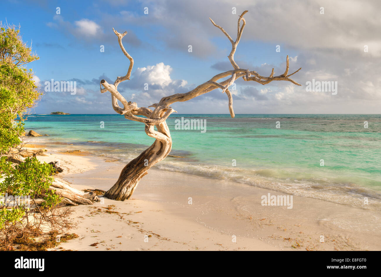 Jabberwocky hi-res stock photography and images - Alamy