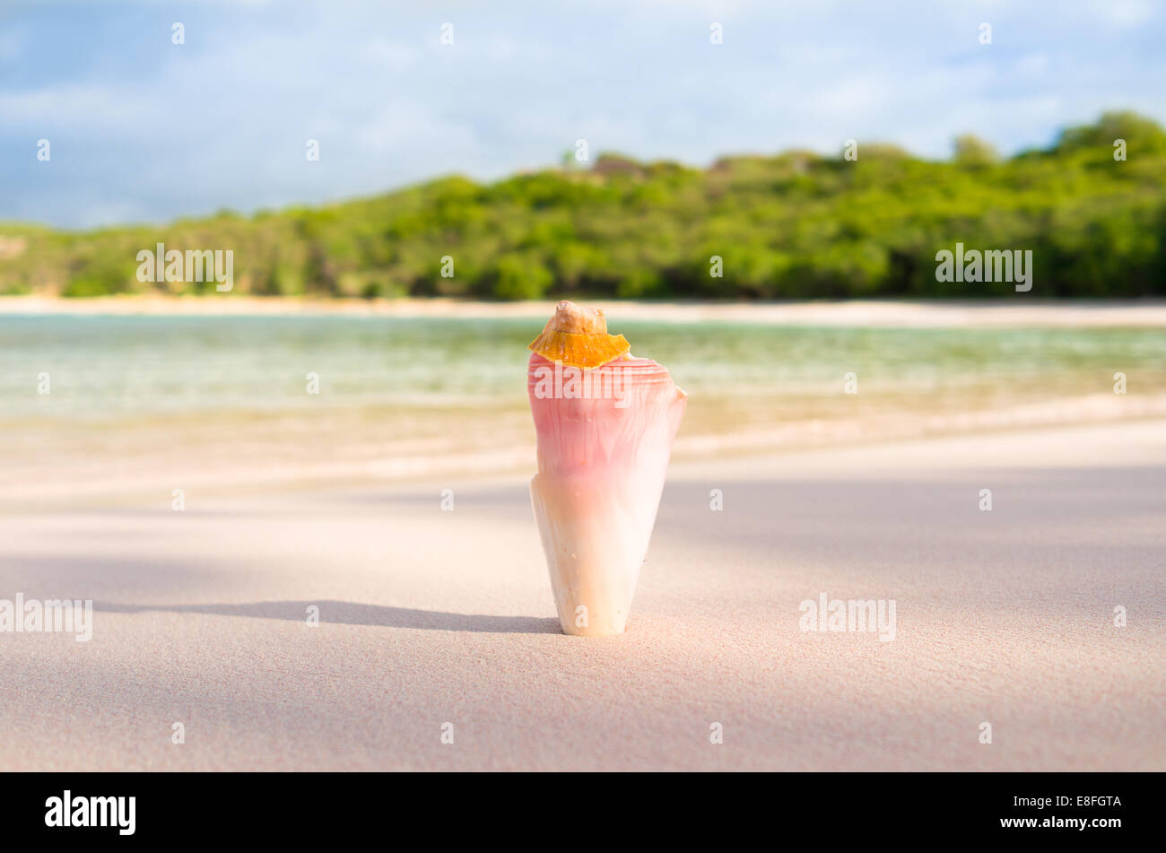 Half Moon Bay Antigua Caribbean High Resolution Stock Photography and ...
