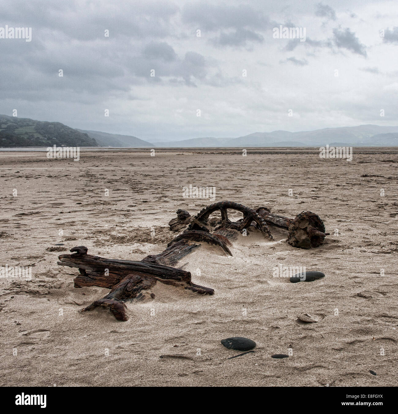 Rotten wood at beach Stock Photo - Alamy