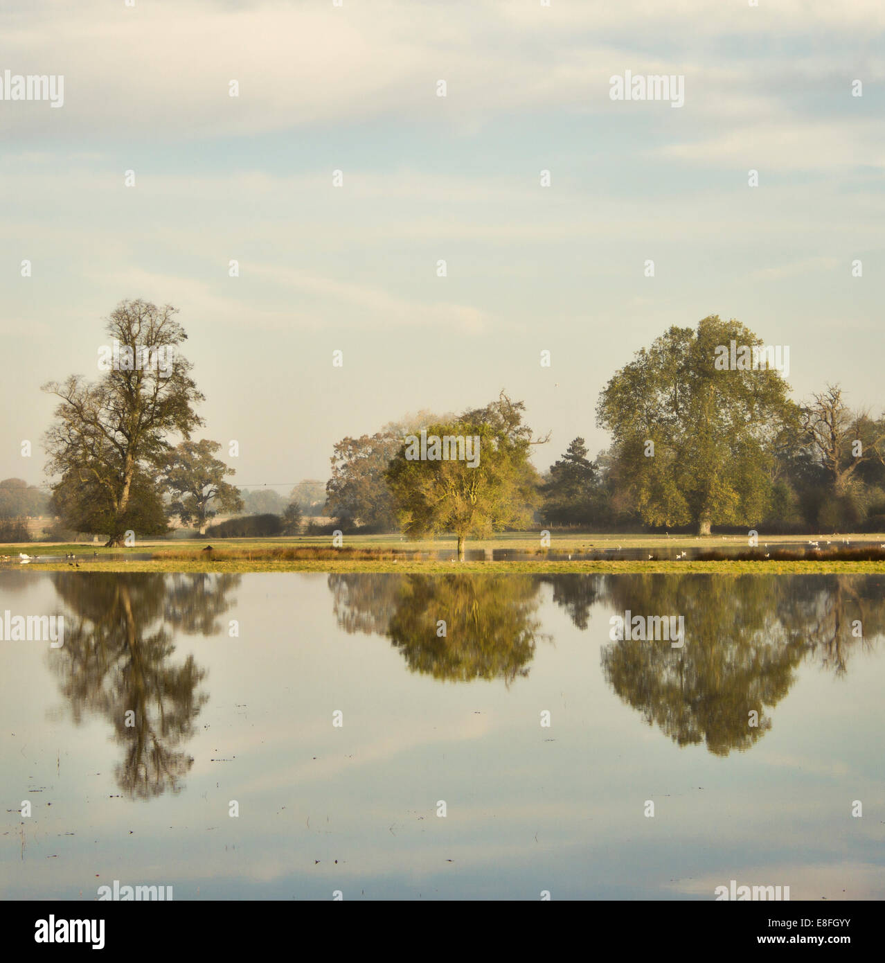 Country landscape reflected in water Stock Photo - Alamy