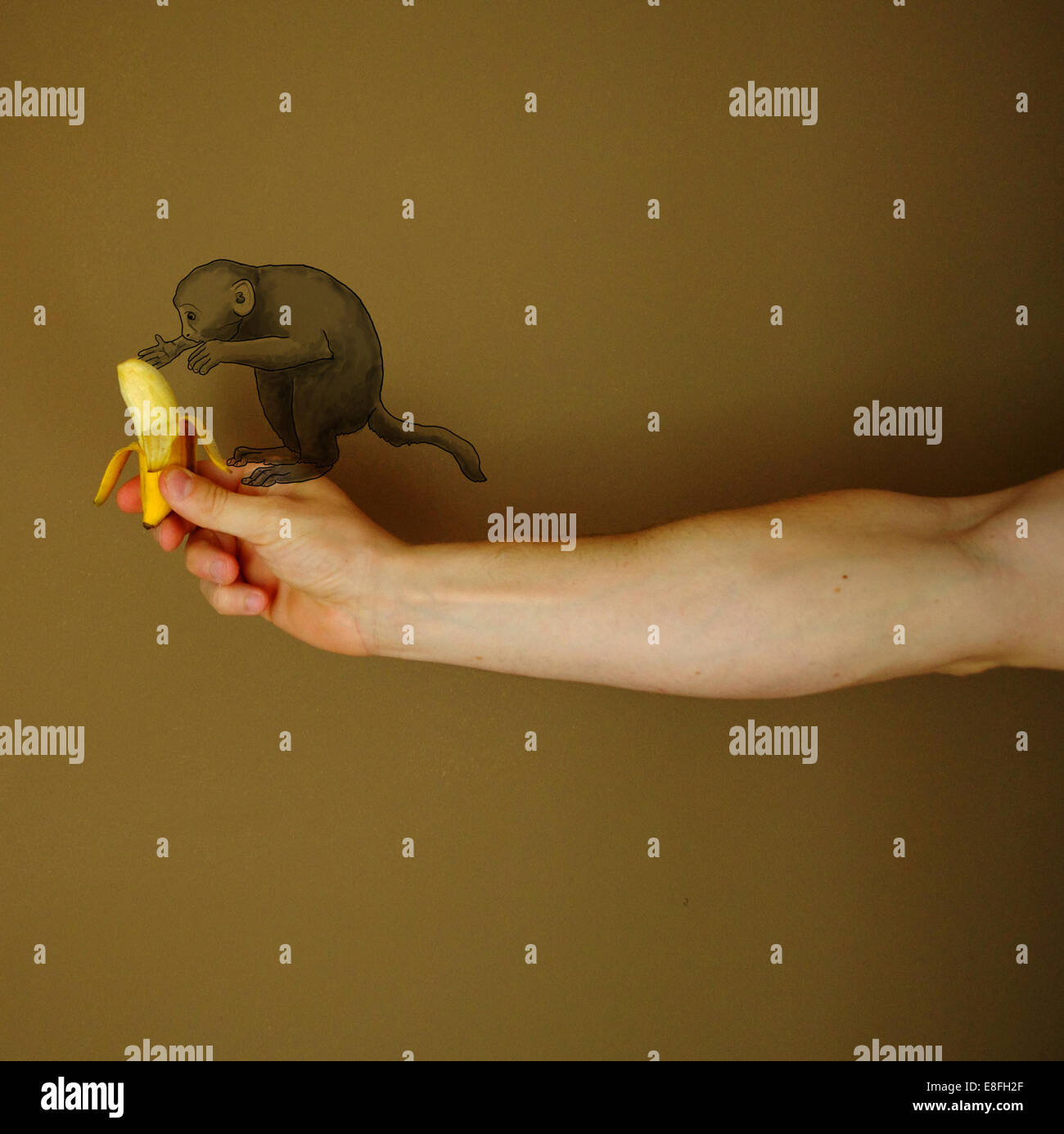 Monkey And Human Stock Photos & Monkey And Human Stock Images - Alamy