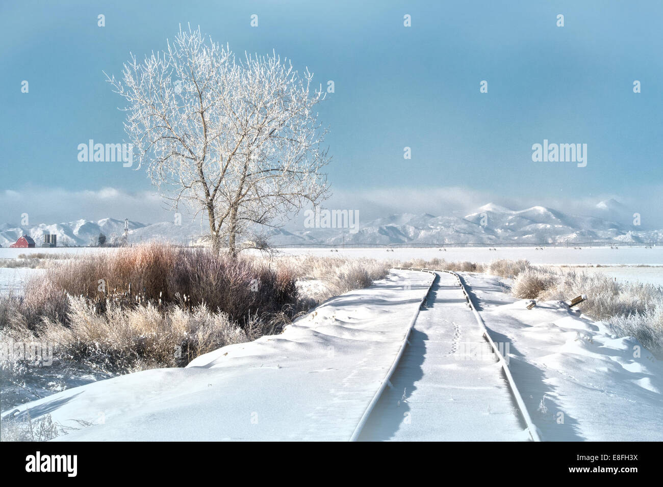 USA, Colorado, Snowy railroad tracks leading towards Stock Photo - Alamy