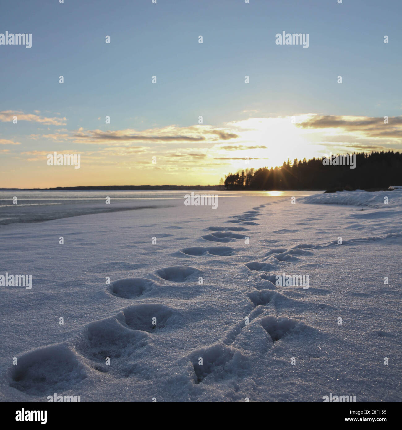 Footprints on the hi-res stock photography and images - Alamy