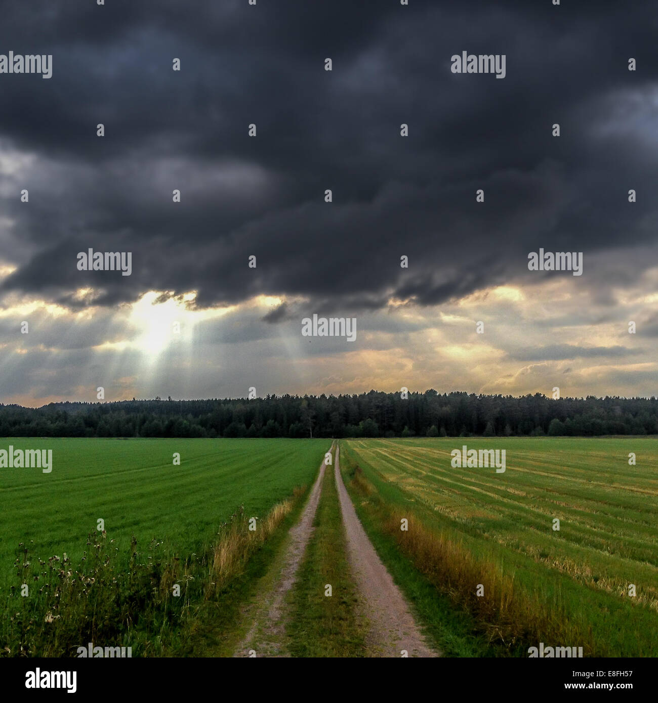Sweden rural road hi-res stock photography and images - Alamy