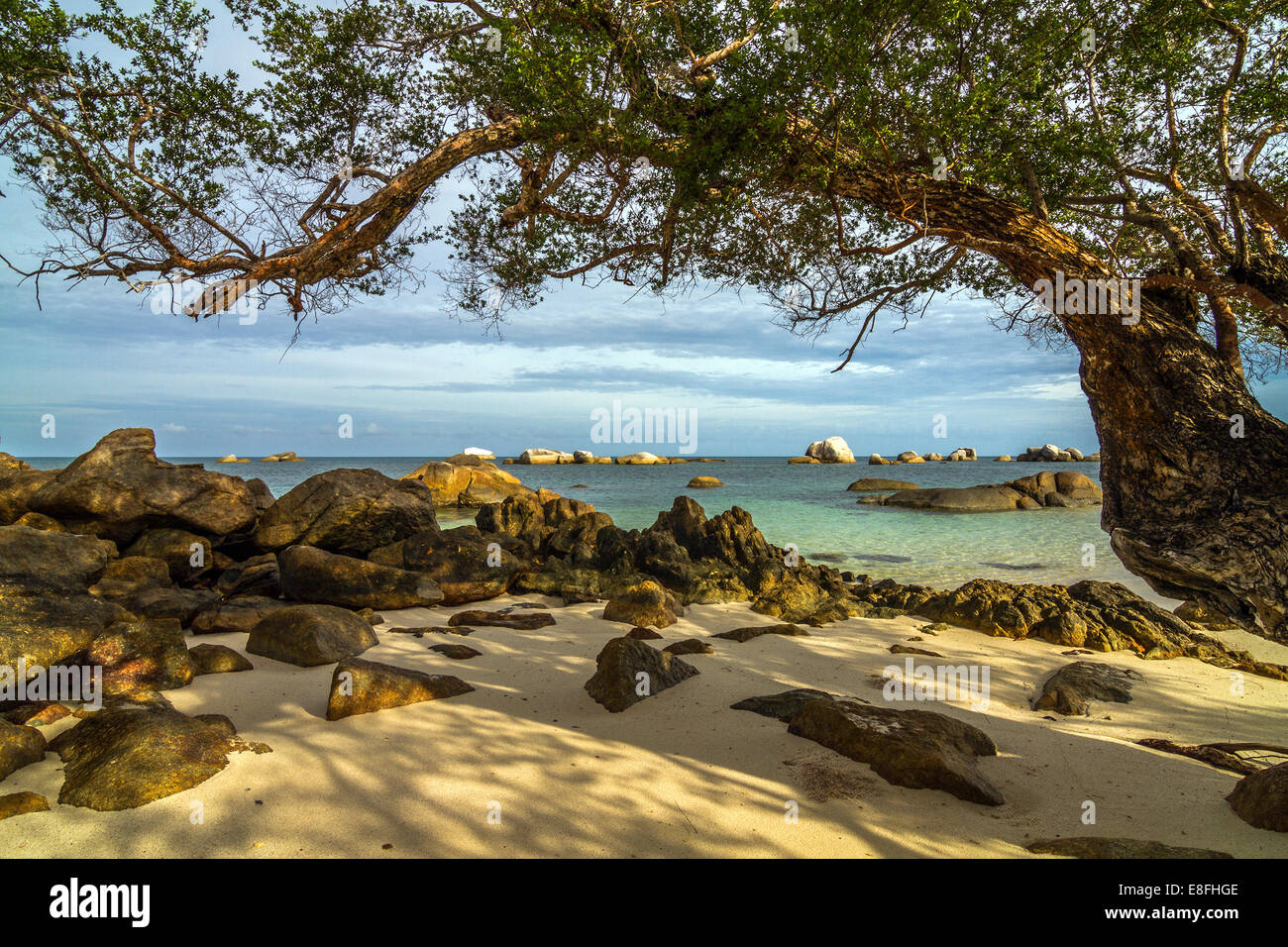 Indonesia island beach tree hi-res stock photography and images - Alamy