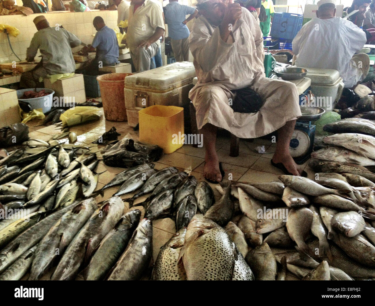 Oman, Muscat, Overlooking fish market Stock Photo - Alamy