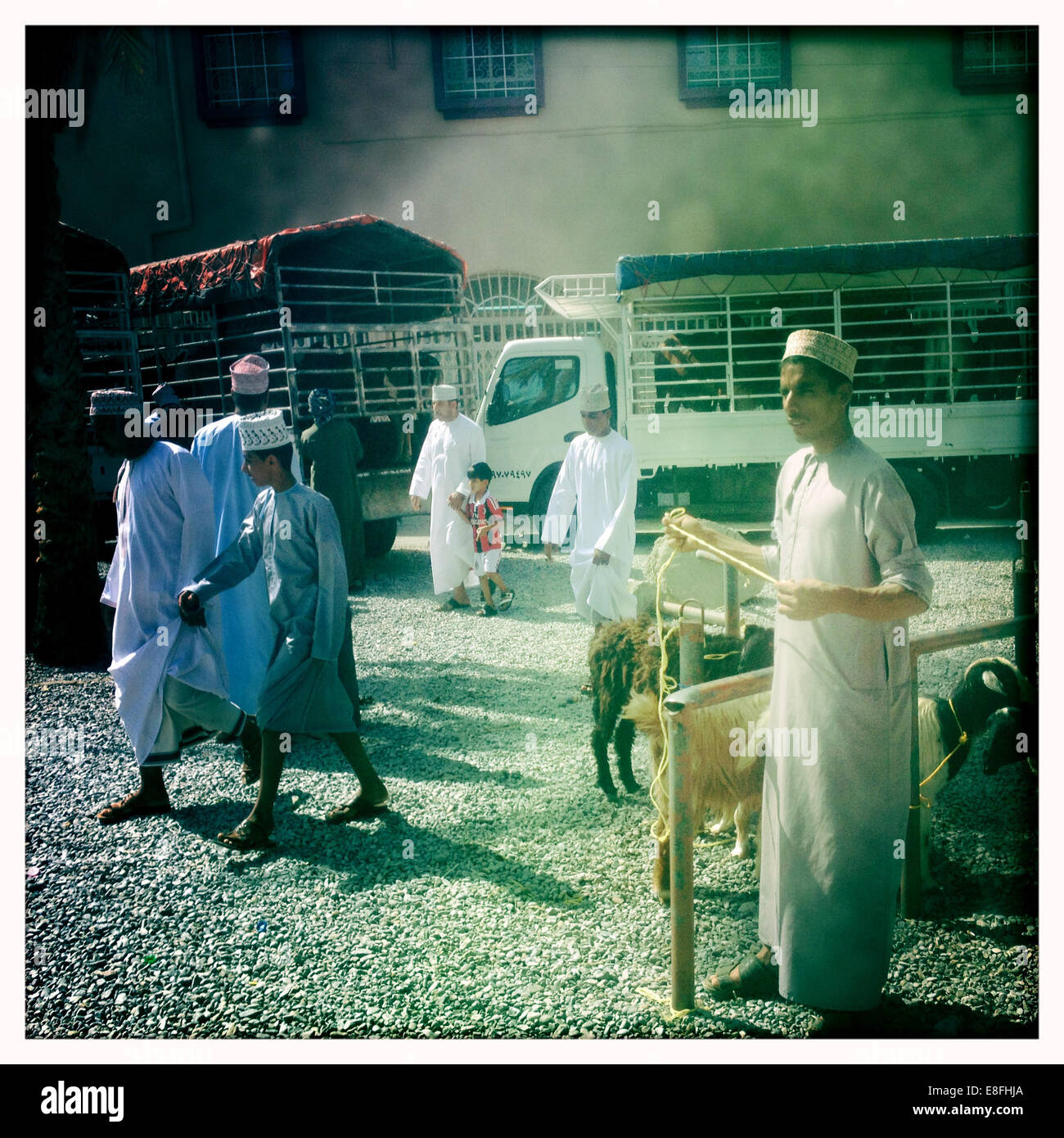 Market Cut Out Stock Images & Pictures - Alamy