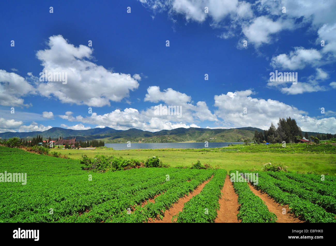 Indonesia, West Sumatra, Solok, Alahan Panjang, Clouds over field Stock ...