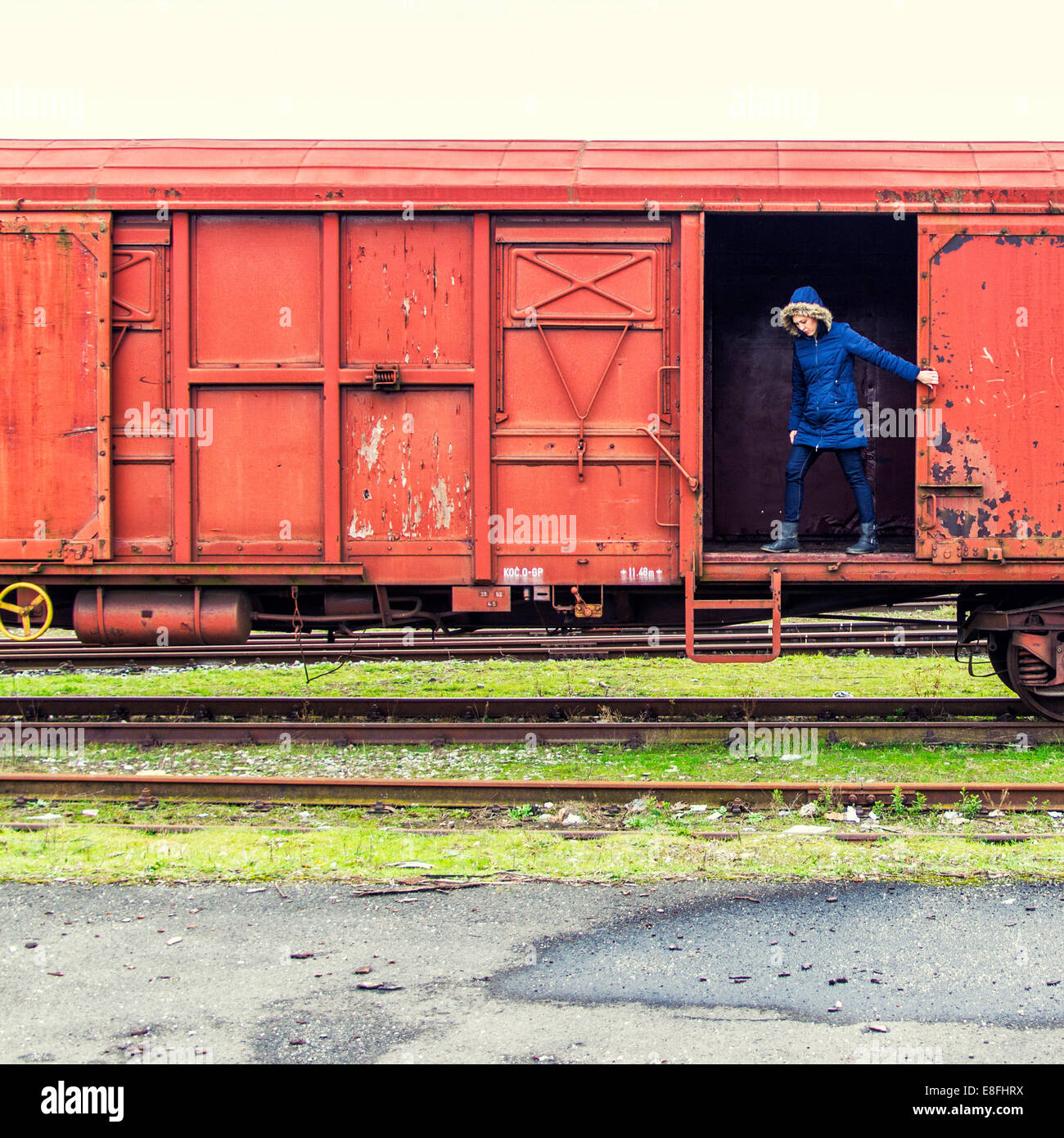 Woman standing in train carriage Stock Photo - Alamy