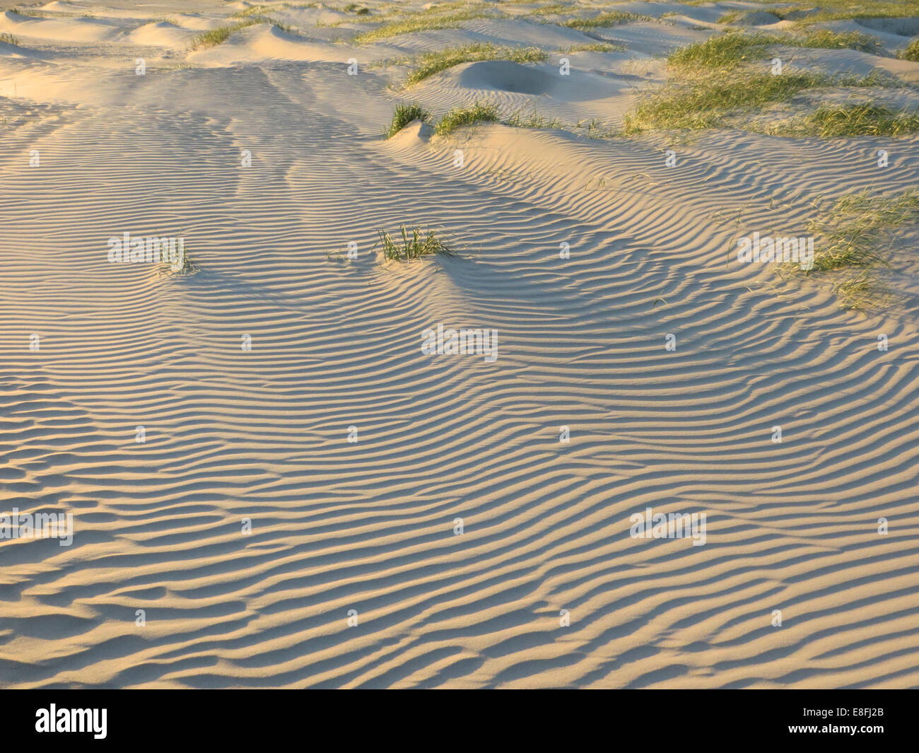 Ripples on sand at fano beach hi-res stock photography and images - Alamy