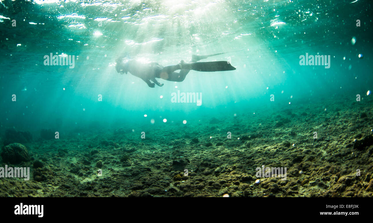 Snorkeling Scene High Resolution Stock Photography and Images - Alamy