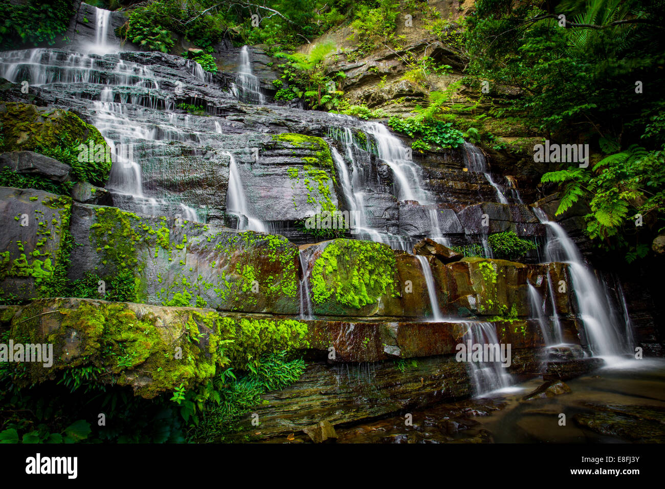 Woodland Waterfalls High Resolution Stock Photography and Images - Alamy