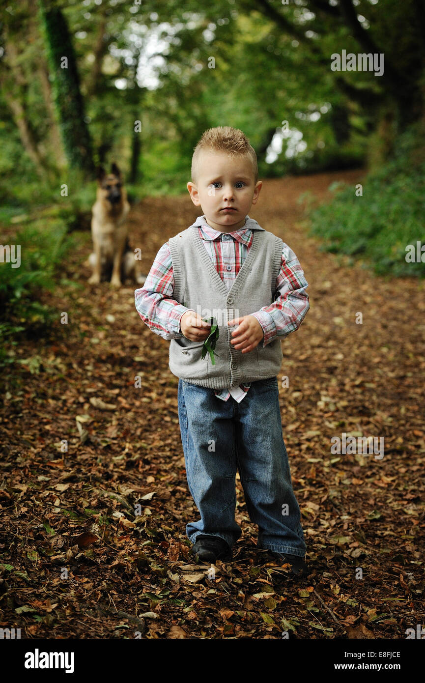 Little Boy In A Forest Stock Photo - Alamy